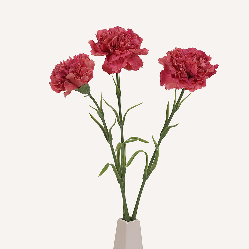 Nejlika ljusröd Diana, bra kvalitet till bästa pris!